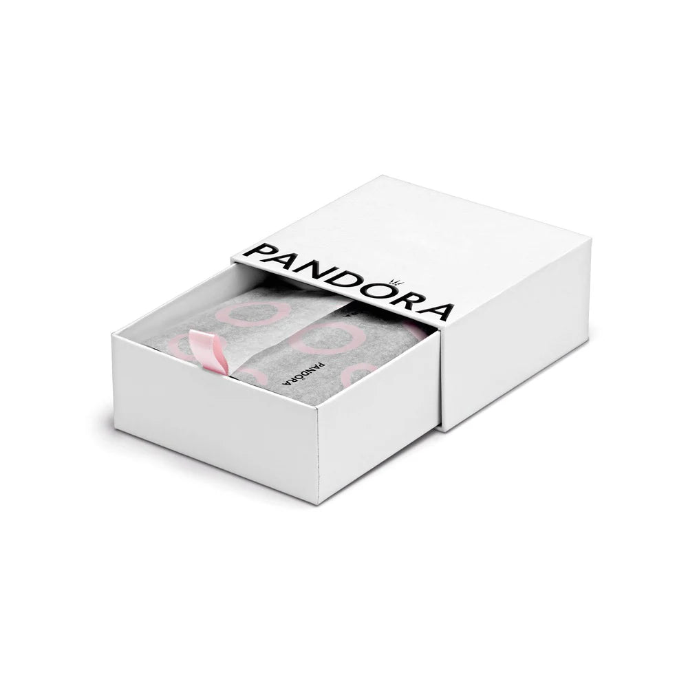 Caja Grande Pandora – ADONET